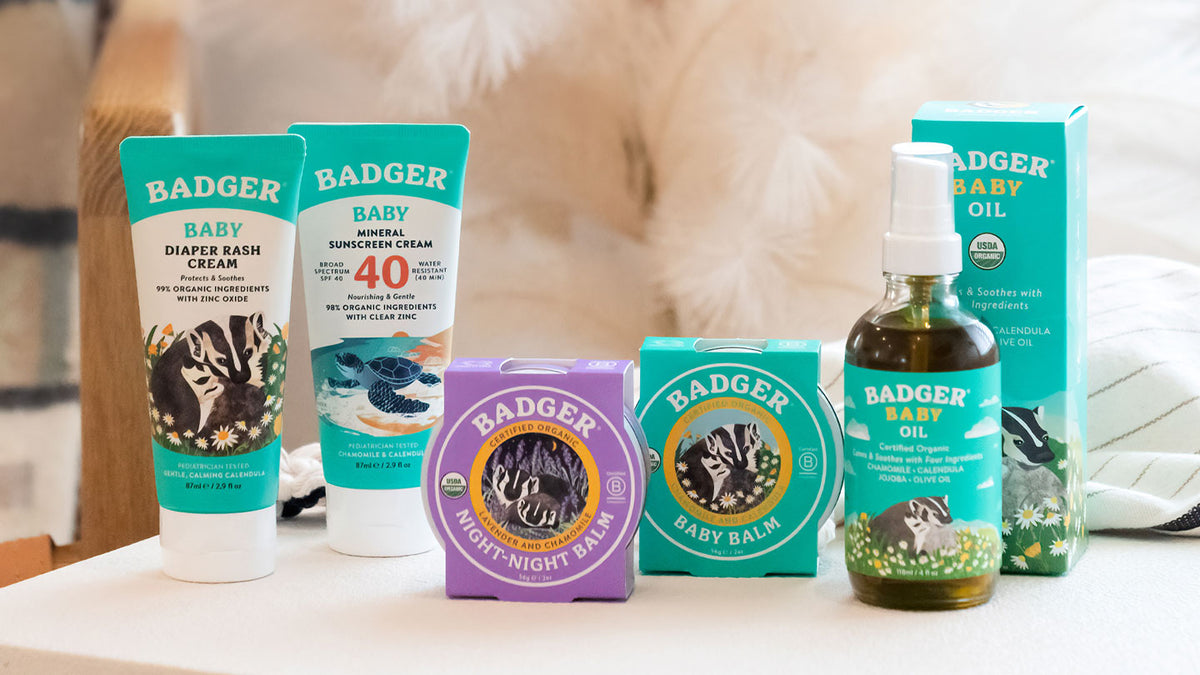 Baby Badger Wildlife Aid Wildlife Aid Added A New Photo.